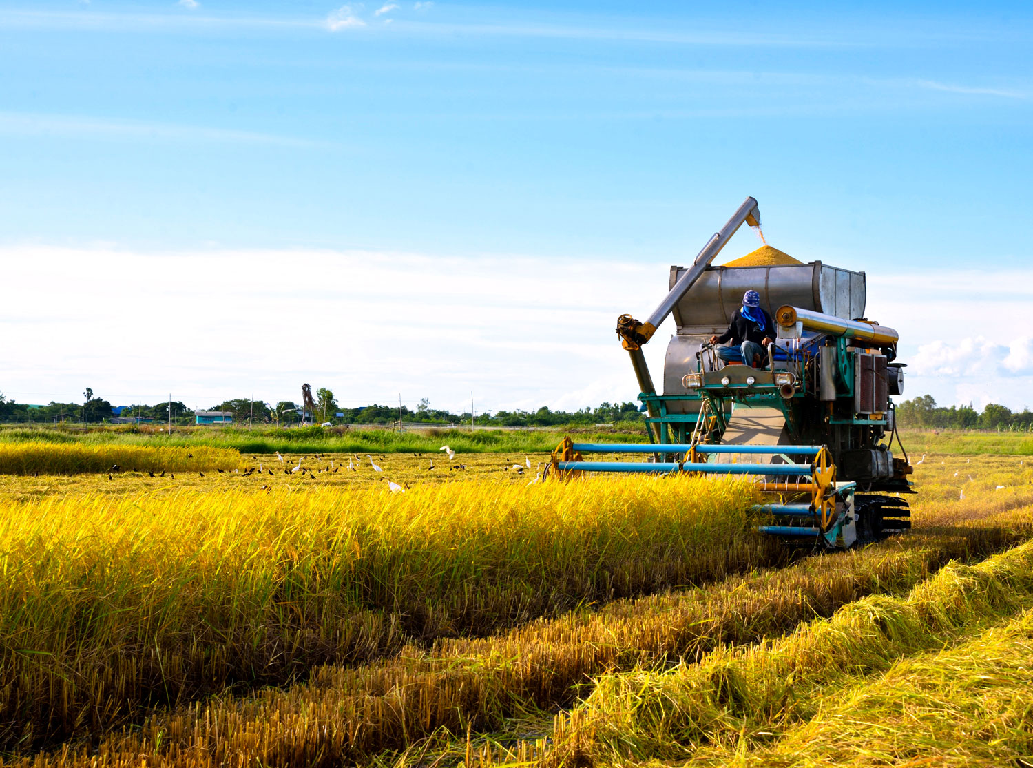 Excelerate Energy | Leader in Integrated LNG Solutions